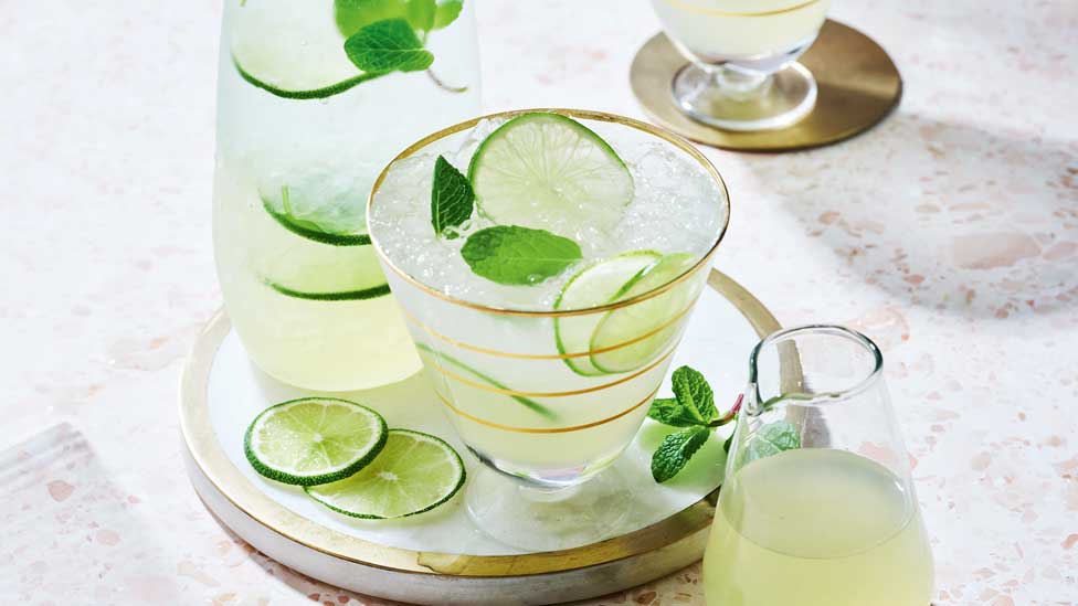 Tangy Temptation: Discover the Delightful World of Key Limeade – Purely